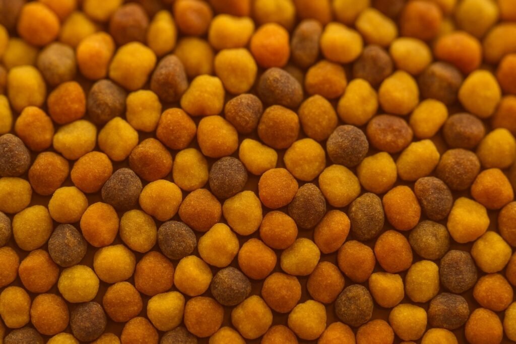 Abeille bébé : les 3 étapes de la métamorphose expliquées